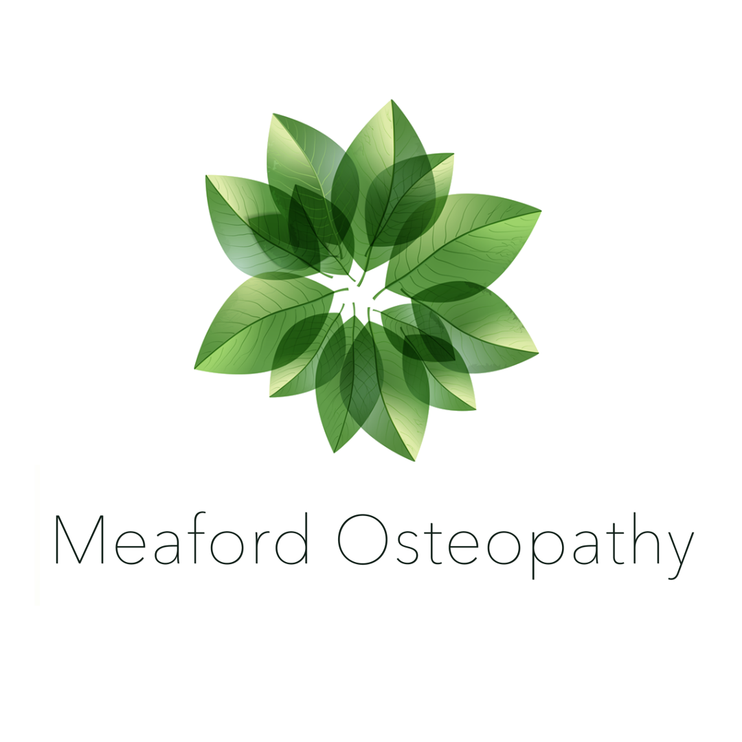 Web Developer | Michael Primak